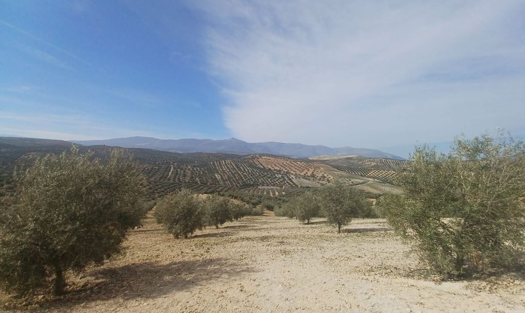 Finca Rústica Venta Granada In El Real De Gandia, Valencian Community ...