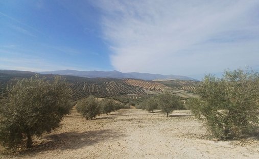 Luxury farm ranches for sale in Granada, Andalusia, Spain | JamesEdition