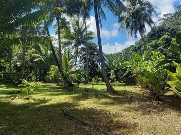 Luxury homes for sale in Mataiea, Teva I Uta, Windward Islands, French ...