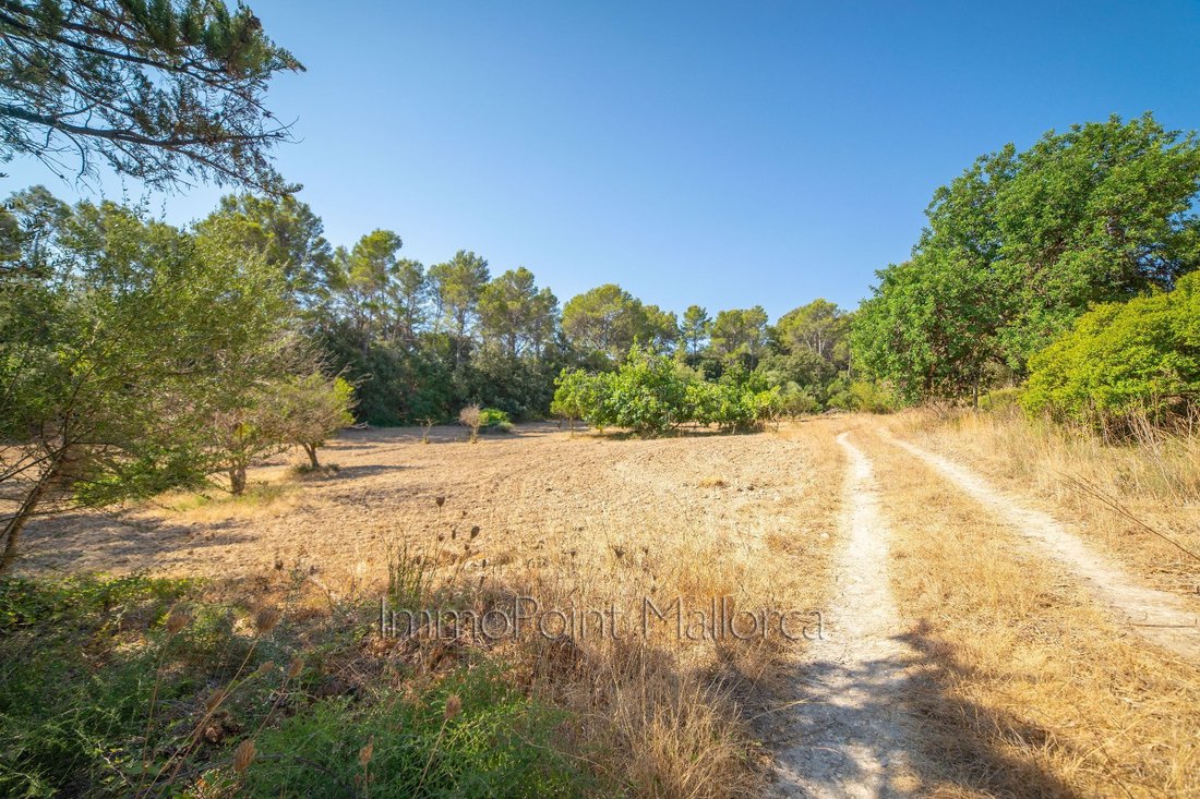 A Rustic Farm To Build With Farm Houses In Selva, Balearic Islands ...