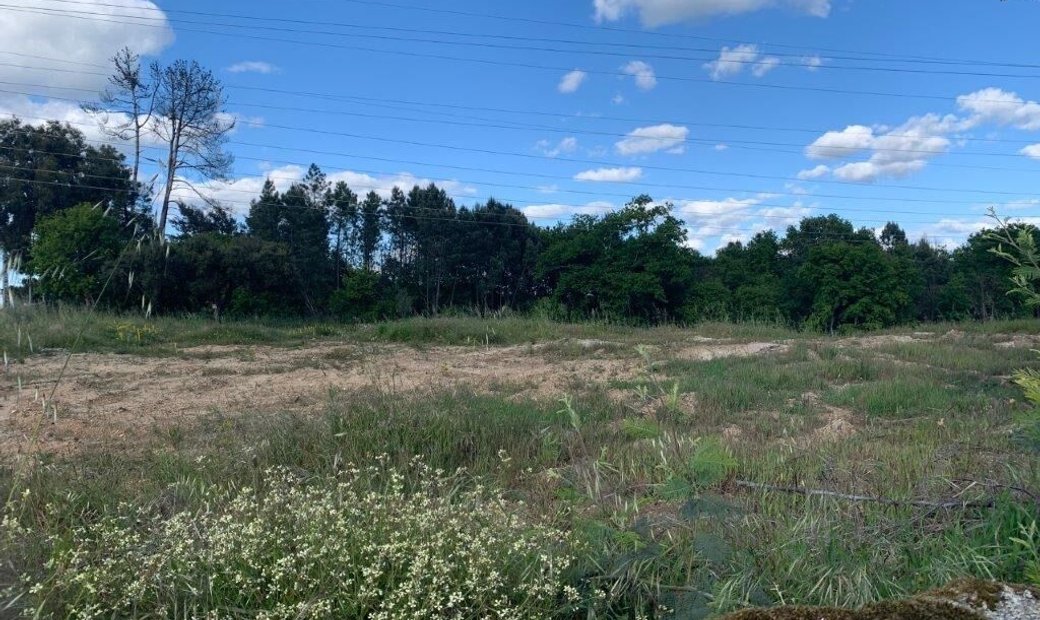 Opportunity Farm For Sale In Viso Norte In In Viseu, Viseu District ...