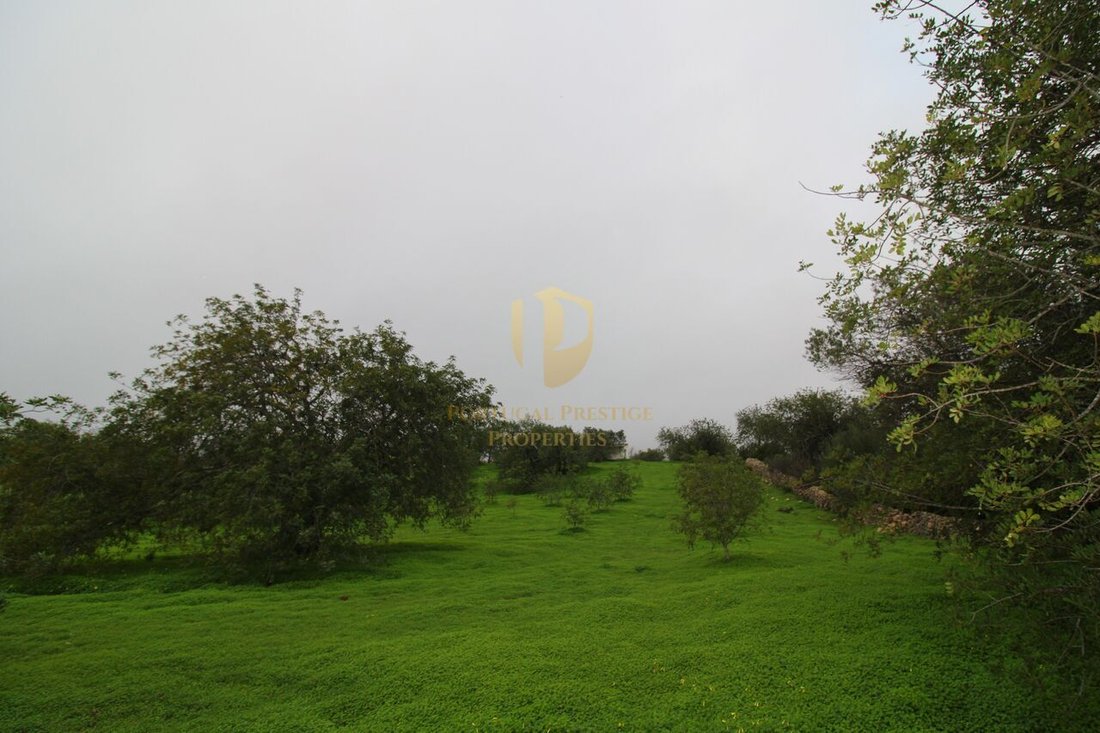 Unique Opportunity! This Is In Luz De Tavira E Santo Estevao, Algarve ...