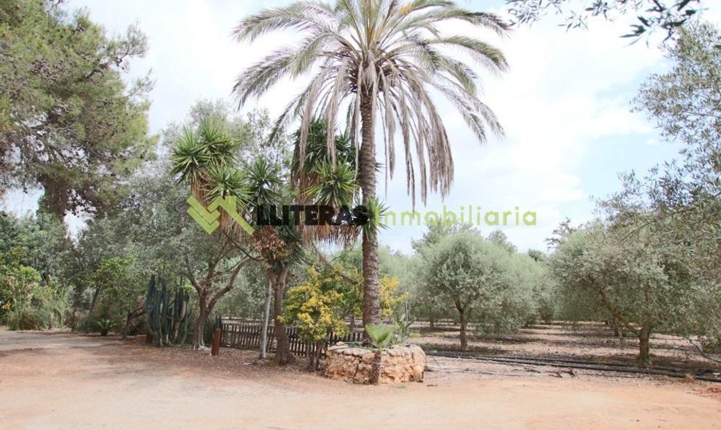 Nice Finca In The Outskirts Of Inca In Inca, Balearic Islands, Spain ...