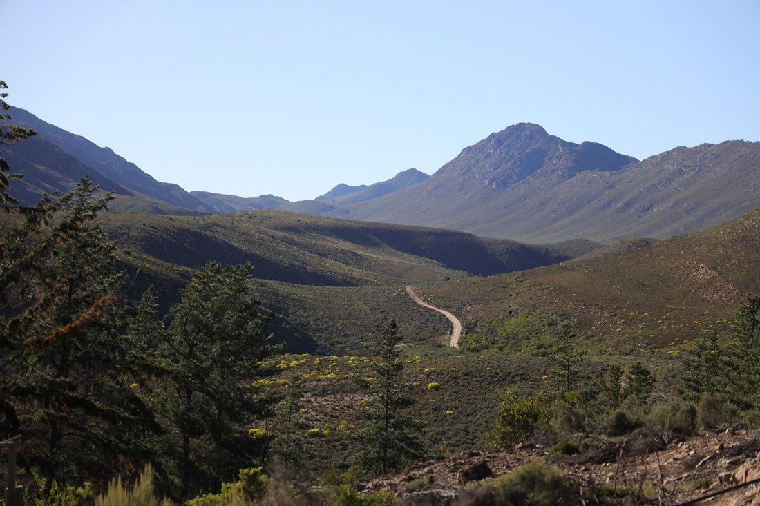 Bonniedale Holiday Farm In Mossel Bay, Western Cape, South Africa For Sale (12896131)