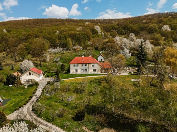 Luxury homes with helipad for sale in Chidea, Cluj County, Romania ...