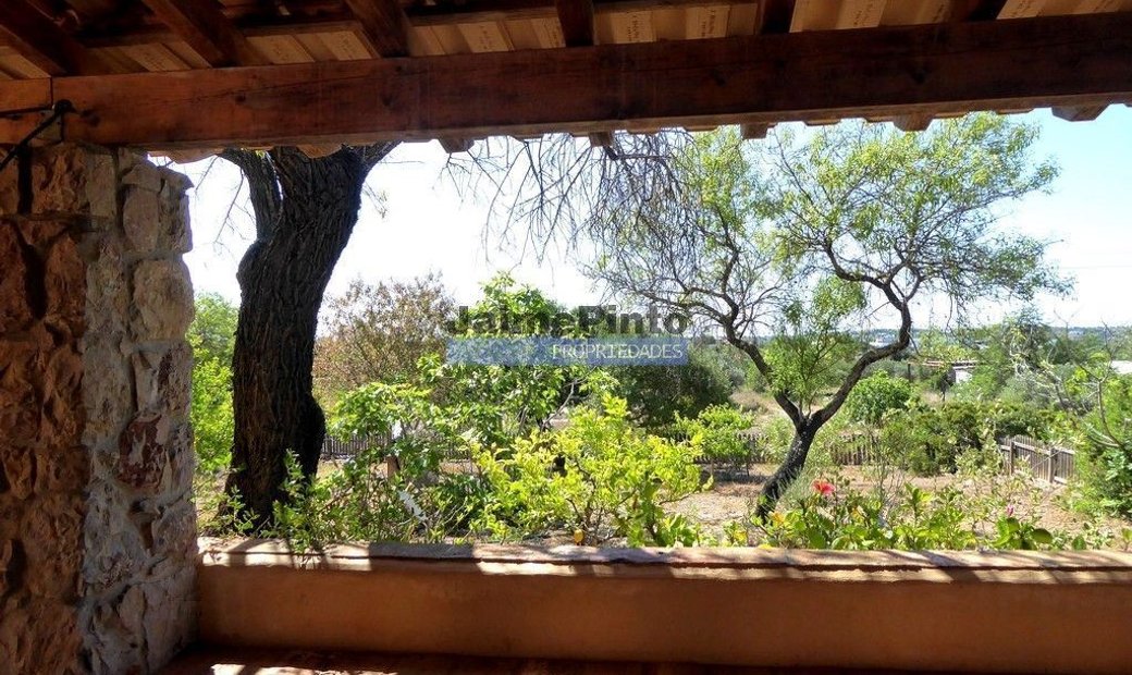 Faro Farm In Estói, Algarve, Portugal For Sale (12962694)