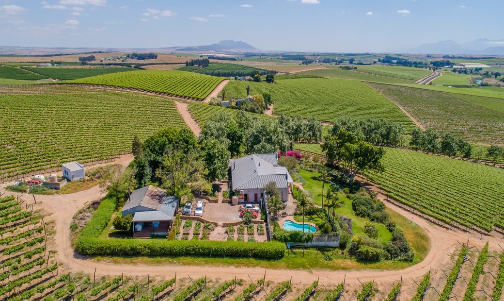Lifestyle Table Grape Farm Of 47 In Wellington, Western Cape, South ...