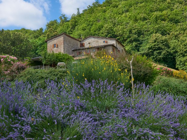 Luxury gated community farm ranches for sale in Florence, Tuscany ...