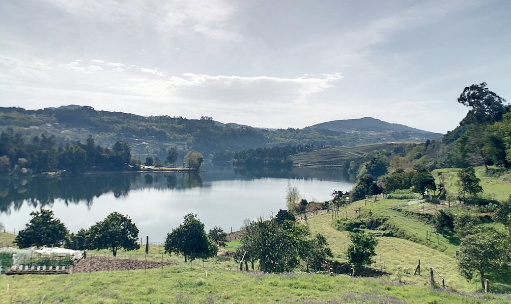 Opportunity: Charming Rustic "Quinta" With In Boelhe, Porto District ...