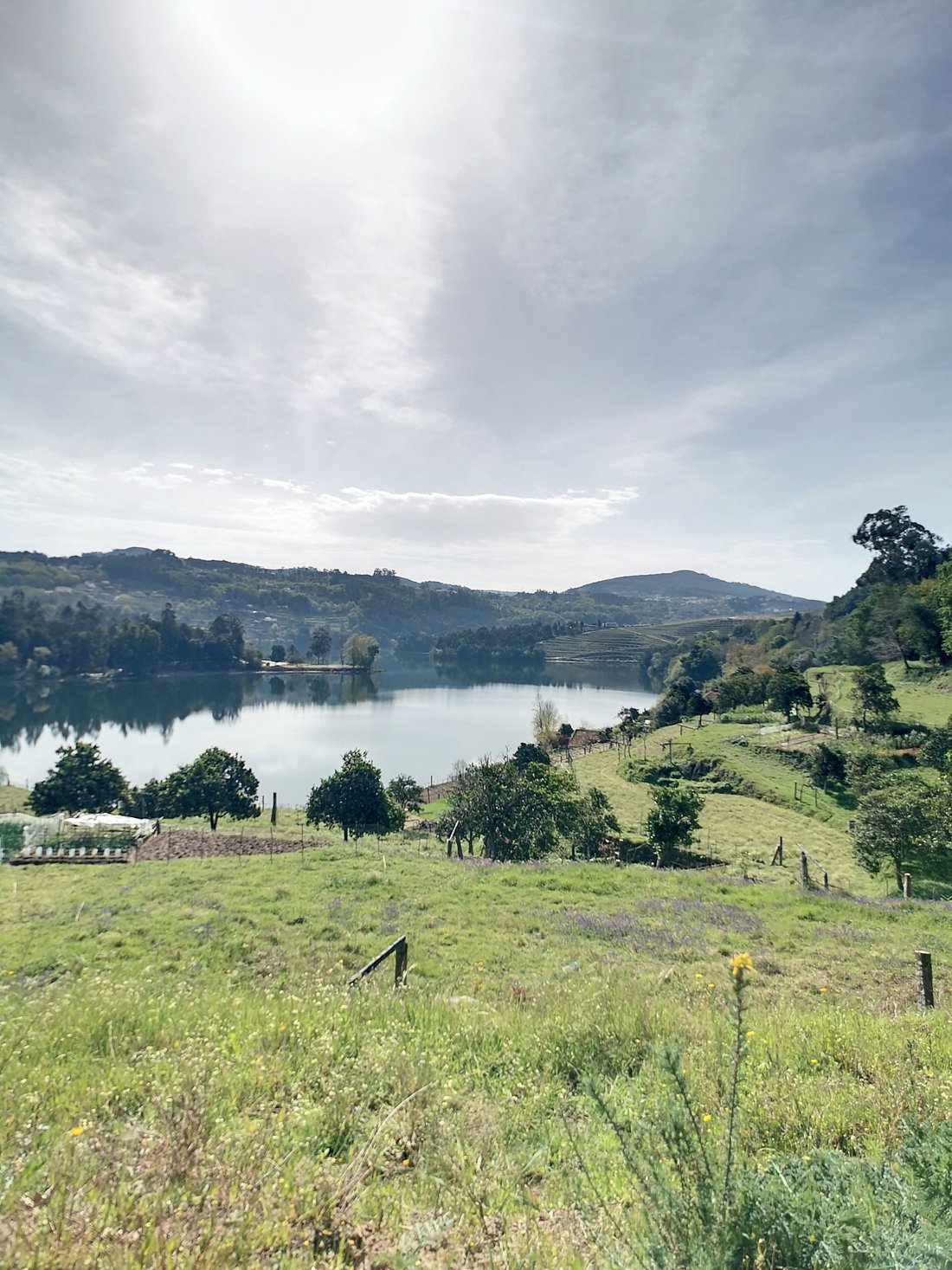 Opportunity: Charming Rustic "Quinta" With In Boelhe, Porto District ...