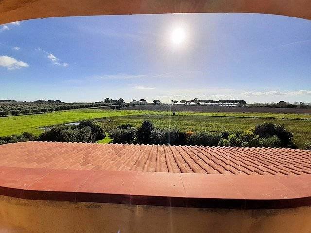 Complesso Immobiliare Di Ampia Superficie Con In Capalbio Scalo ...