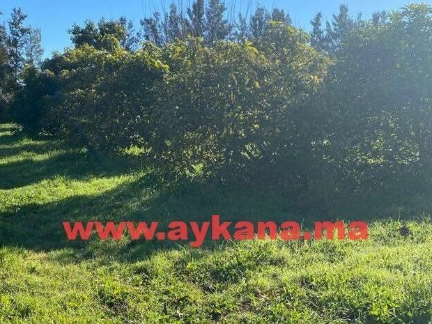 Luxury houses for sale in Had El Brachoua, Rabat-Salé-Kénitra, Morocco ...