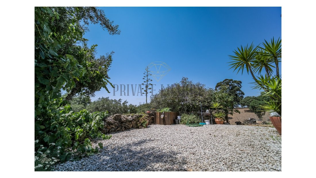 Herdade 162750m2, Natural Park Of In Mosteiros, Portalegre District ...