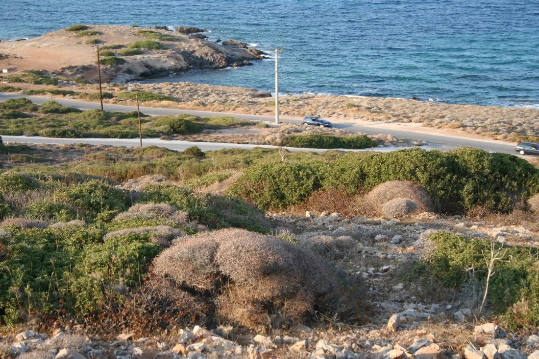 Plot Of Land For In Laurium, Decentralized Administration Of Attica ...