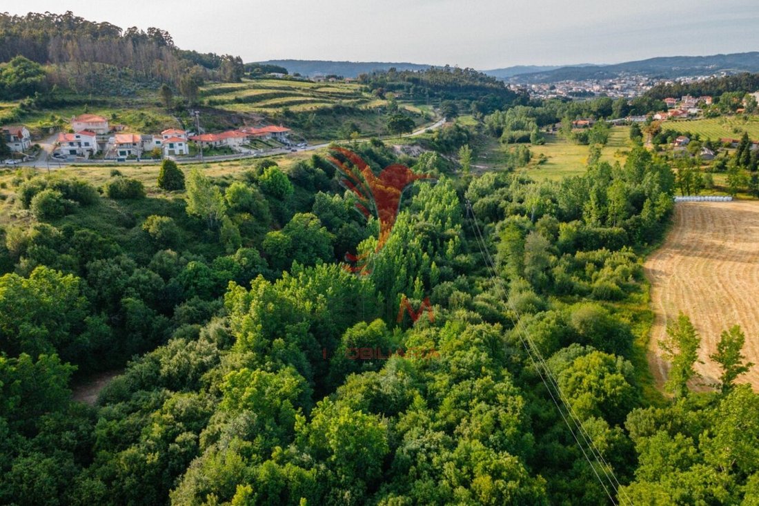 Land / Farm With 18000sqm In Silvares De São Clemente, In Fafe, Braga ...
