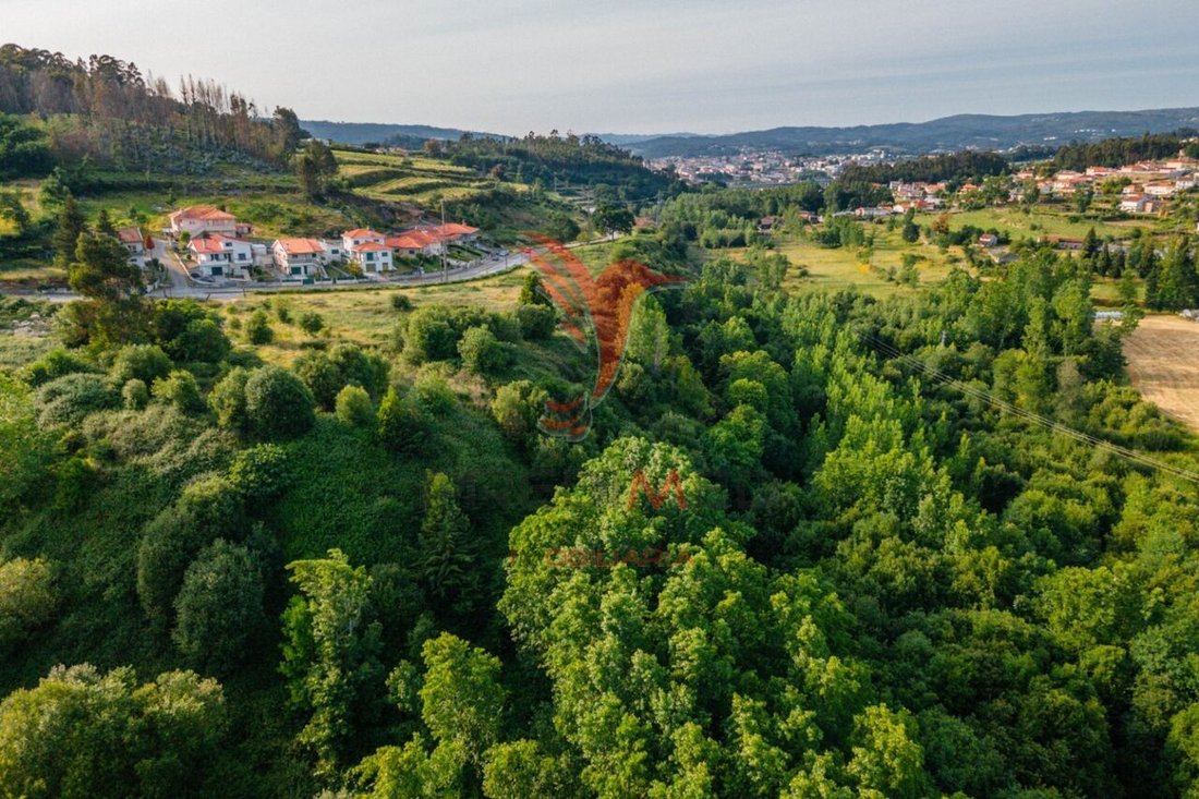 Land / Farm With 18000sqm In Silvares De São Clemente, In Fafe, Braga ...