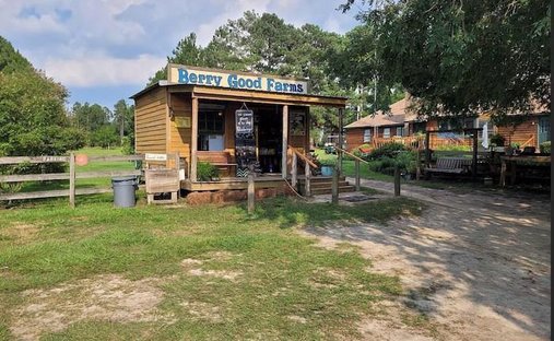 Luxury homes for sale in Ty Ty, Georgia | JamesEdition