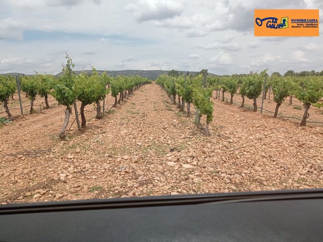 Finca Rústica Venta Ciudad Real In Valdepeñas, Castile La Mancha, Spain ...