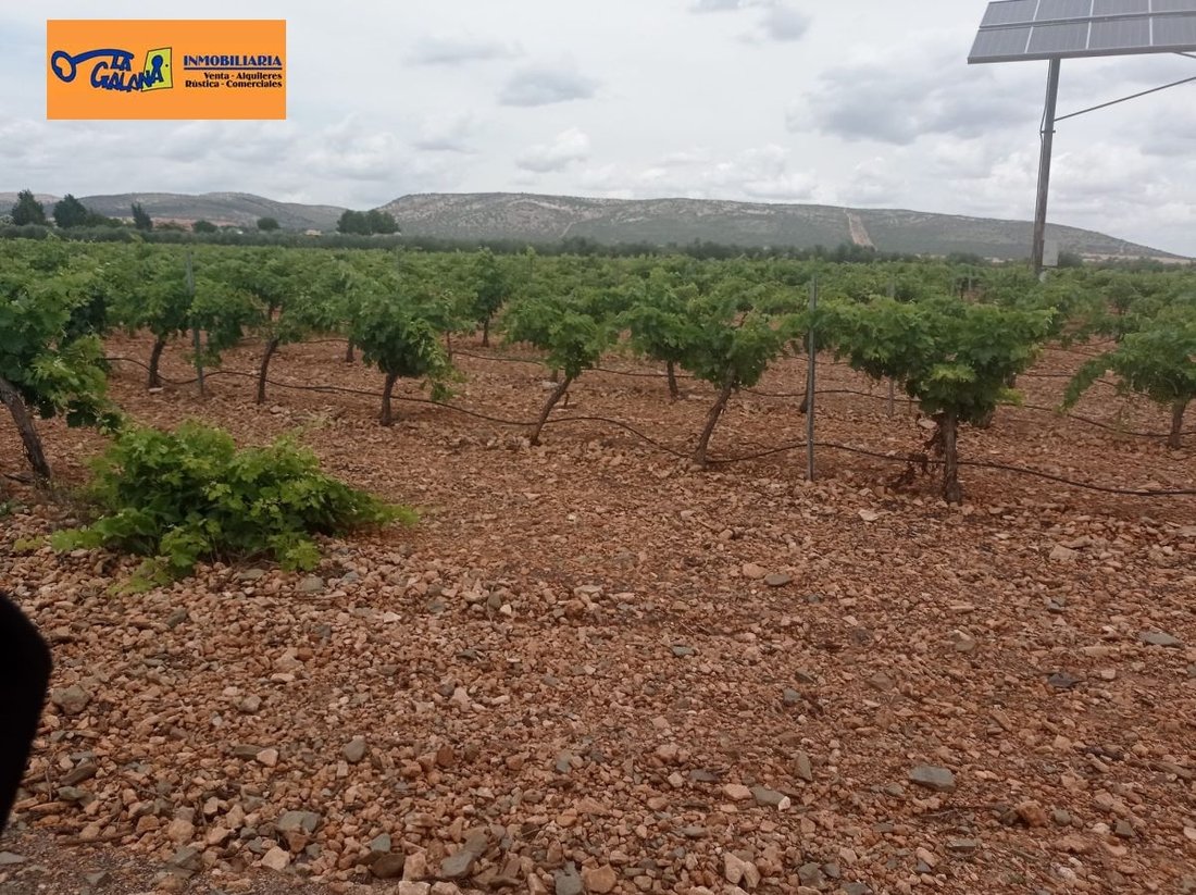 Finca Rústica Venta Ciudad Real In Valdepeñas, Castile La Mancha, Spain ...