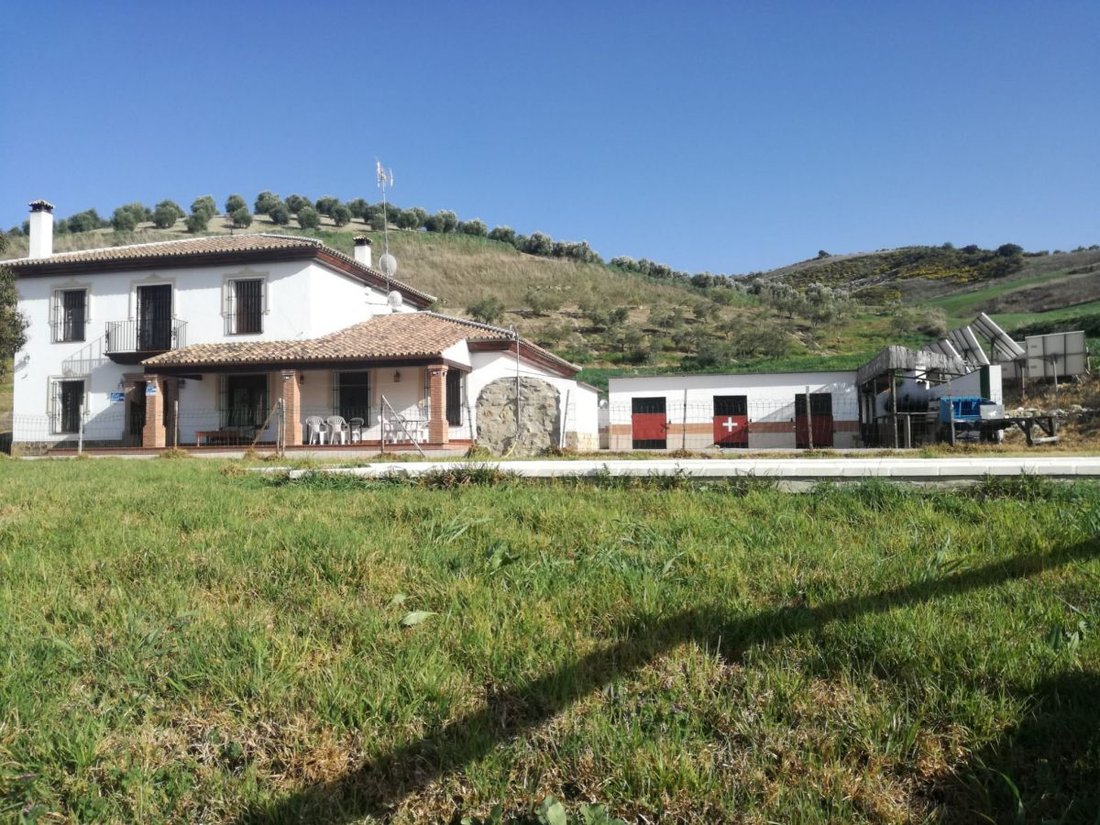 Finca Rústica Venta Cádiz In Cadiz, Andalusia, Spain For Sale (13108654)