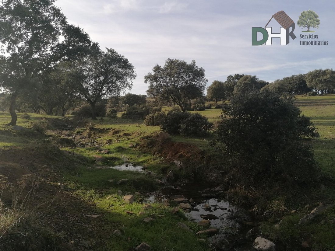Terreno Cã¡Ceres Spain In Cáceres‎, Extremadura, Spain For Sale (13111466)