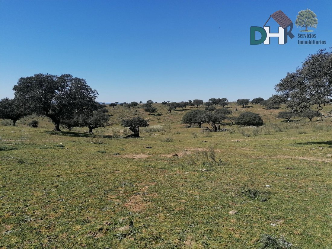 Terreno Cã¡Ceres Spain In Cáceres‎, Extremadura, Spain For Sale (13111476)