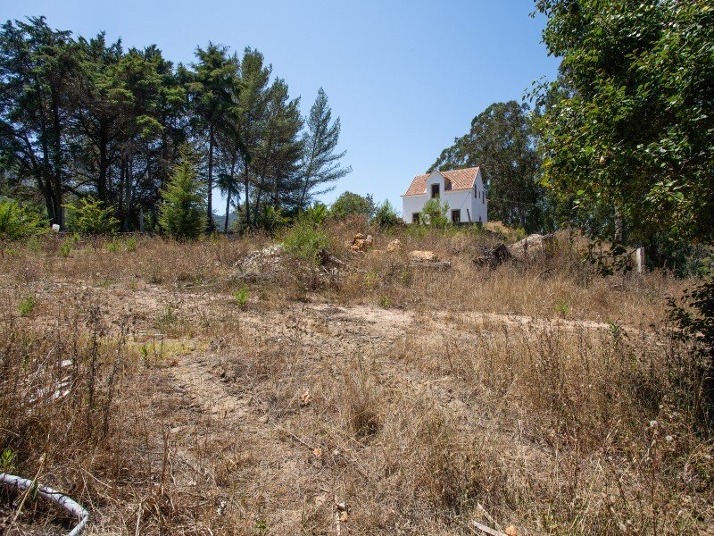 Farm In The Center Of Sintra, For Sale In Sintra, Lisbon, Portugal For ...