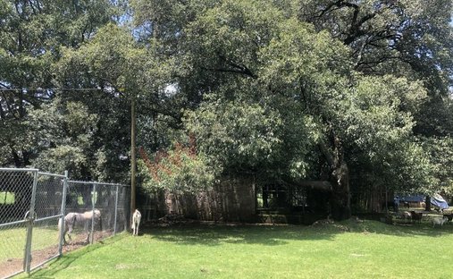 Luxury homes for sale in 022, Dos Ríos, State of Mexico, Mexico ...