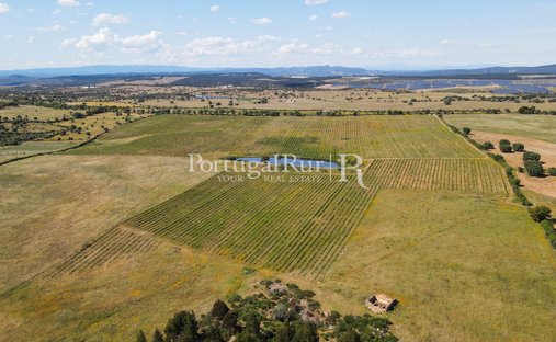Luxury estates with vineyard / winery for sale in Nisa, Portugal ...