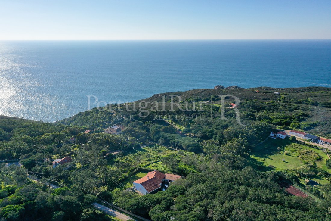 Small Farm With A House With Land With Views Of The Sea In Sintra ...