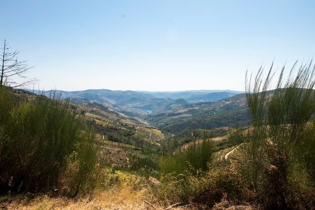 Stunning Farm "Quinta Da Fonte Santa", In Sabrosa, Vila Real District ...