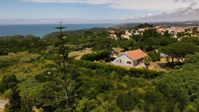 In The Countryside And At The Atlantic Ocean Small Farm In Sintra ...