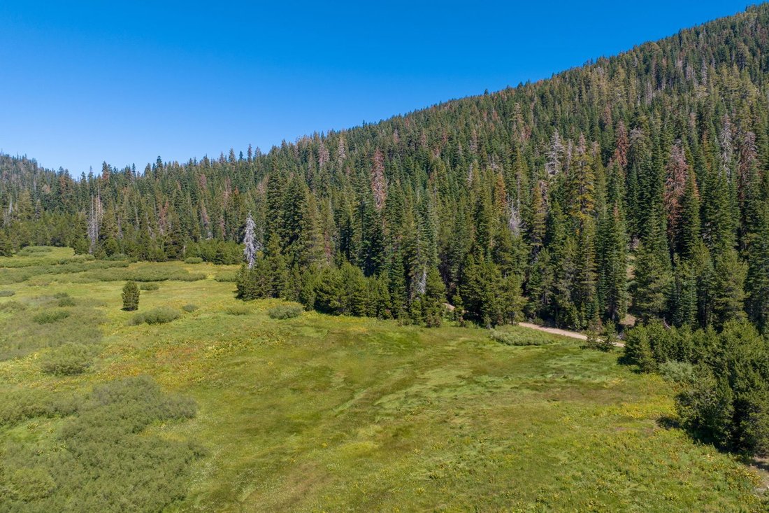 80 Acres Of Pristine Land In The Middle In Graeagle, California, United ...