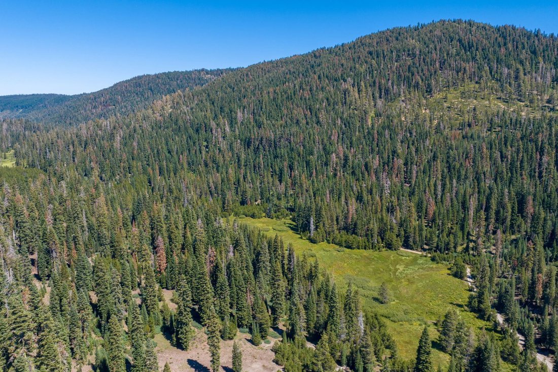 80 Acres Of Pristine Land In The Middle In Graeagle, California, United ...