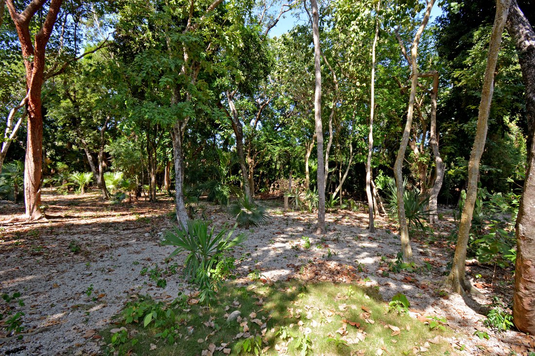 Residential Lot In Playa Del Carmen, Quintana Roo, Mexico For Sale ...