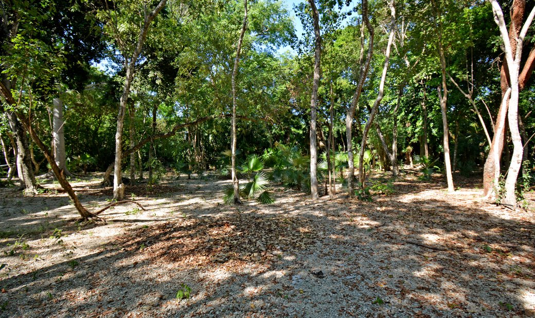 Residential Lot In Playa Del Carmen, Quintana Roo, Mexico For Sale ...