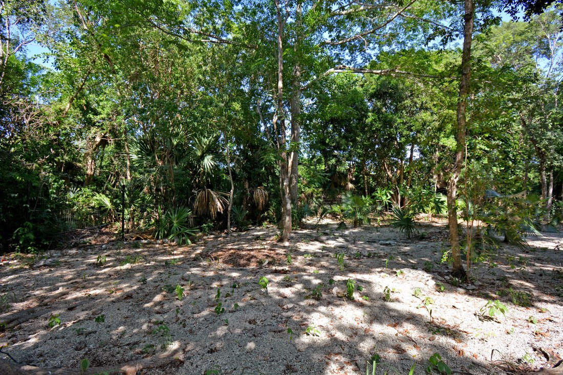 Residential Lot In Playa Del Carmen, Quintana Roo, Mexico For Sale ...