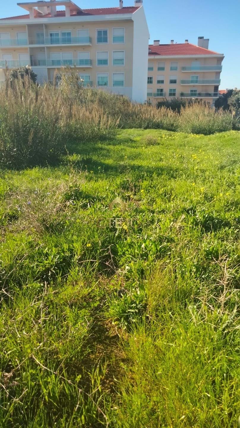 Terreno Não Definido Em Udf De Alenquer (Santo In Silveira, Lisbon ...