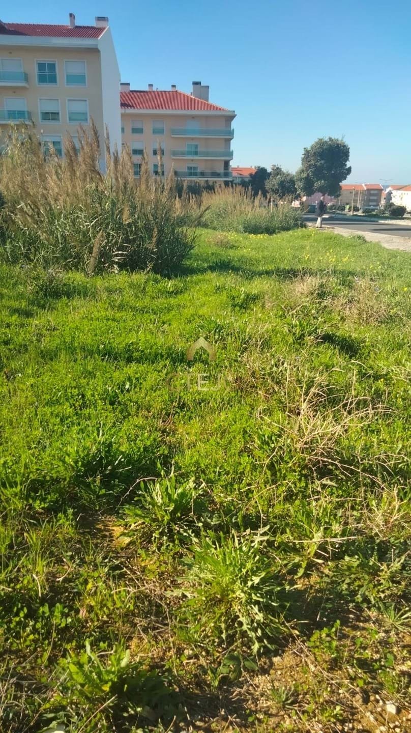 Terrain Non Défini à Udf De Alenquer (Santo Dans Silveira, Lisbonne ...