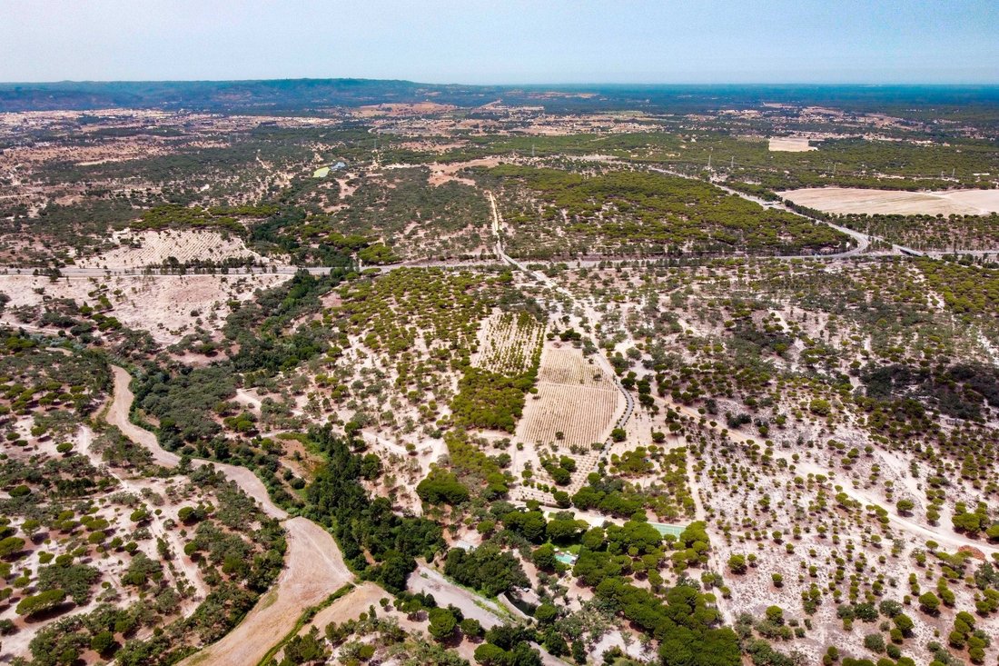 Grandola Estate | In Grandola E Santa Margarida Da Serra, Setubal ...