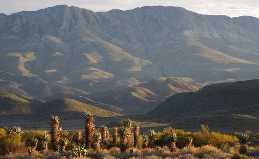 Luxury farm ranches for sale in Oudtshoorn, Western Cape, South Africa ...