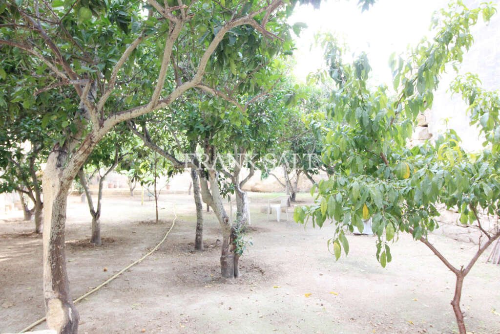 Zebbug, Finished Terraced House In Haz Zebbug, Malta For Sale (13358556)