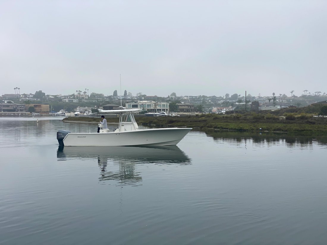 Regulator 29 Fs In United States For Sale (13353733)