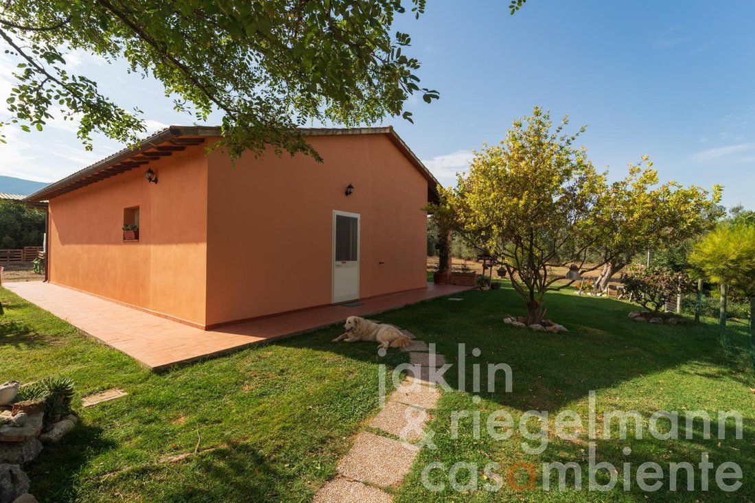 Organic Farm With Sheep Breeding And Cheese In Grosseto, Tuscany, Italy ...