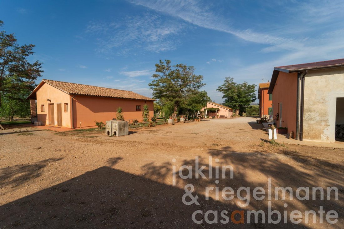 Organic Farm With Sheep Breeding And Cheese In Grosseto, Tuscany, Italy ...
