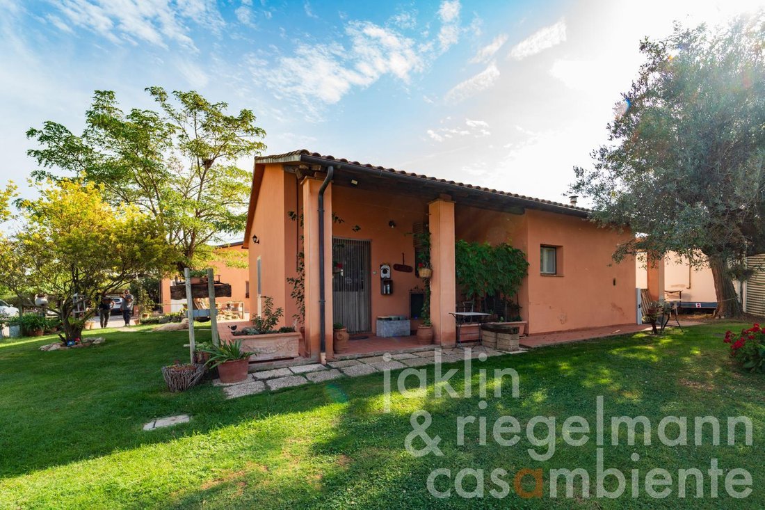 Organic Farm With Sheep Breeding And Cheese In Grosseto, Tuscany, Italy ...
