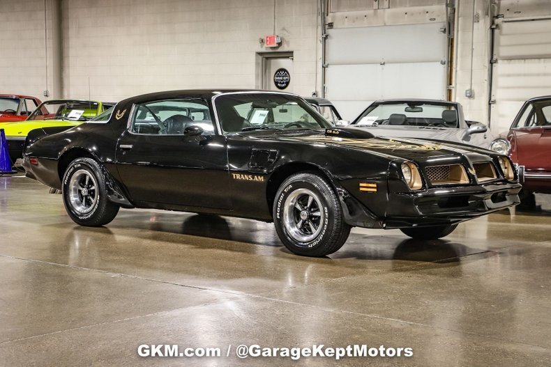 1976 Pontiac Firebird Trans Am In Grand Rapids, United States For Sale ...