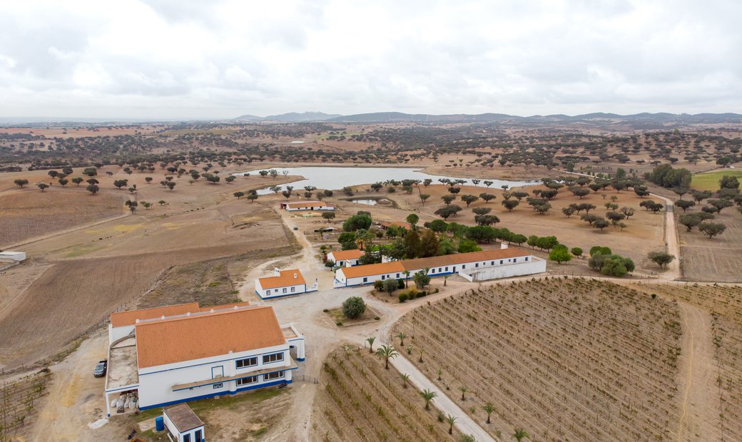 190 Hectares Estate (16 Hectares Of Dans Ferreira De Capelins, évora ...