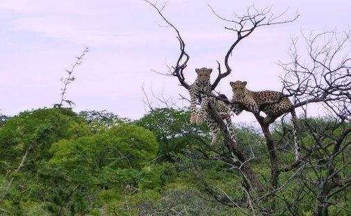 Luxury homes for sale in Outjo, Kunene Region, Namibia | JamesEdition