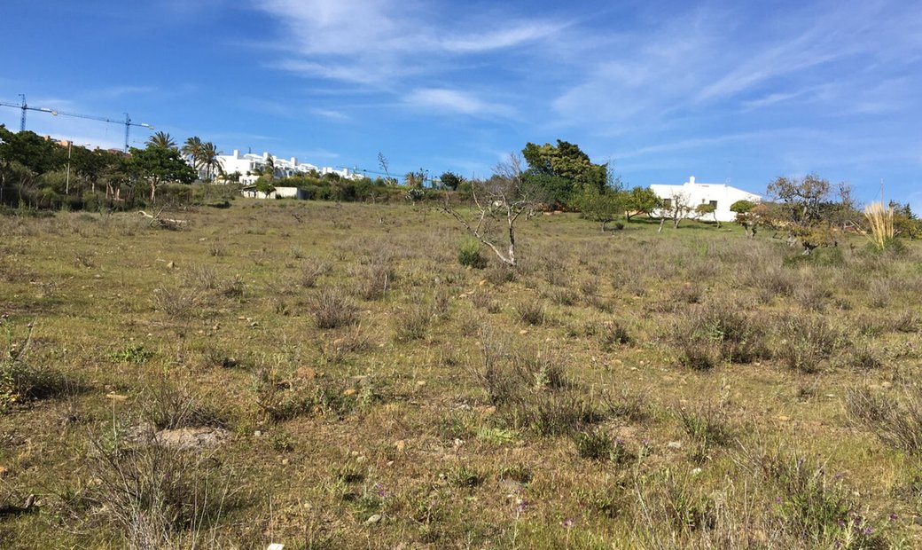 Cancelada Land In Cancelada, Spain For Sale (13474739)
